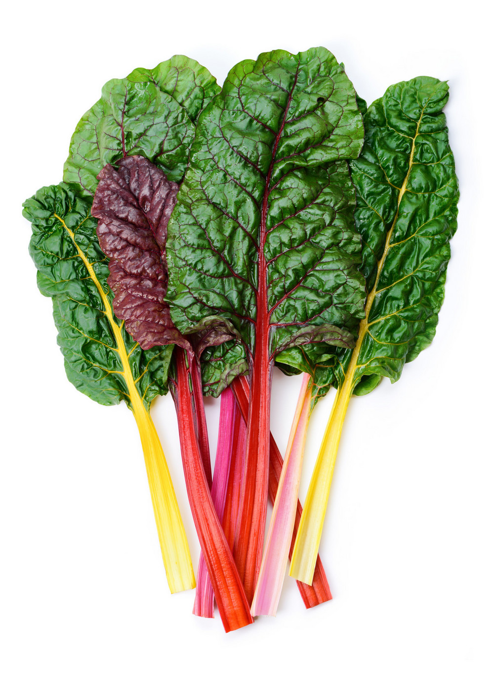 500g Rainbow Chard | Order Online | Fisher of Newbury