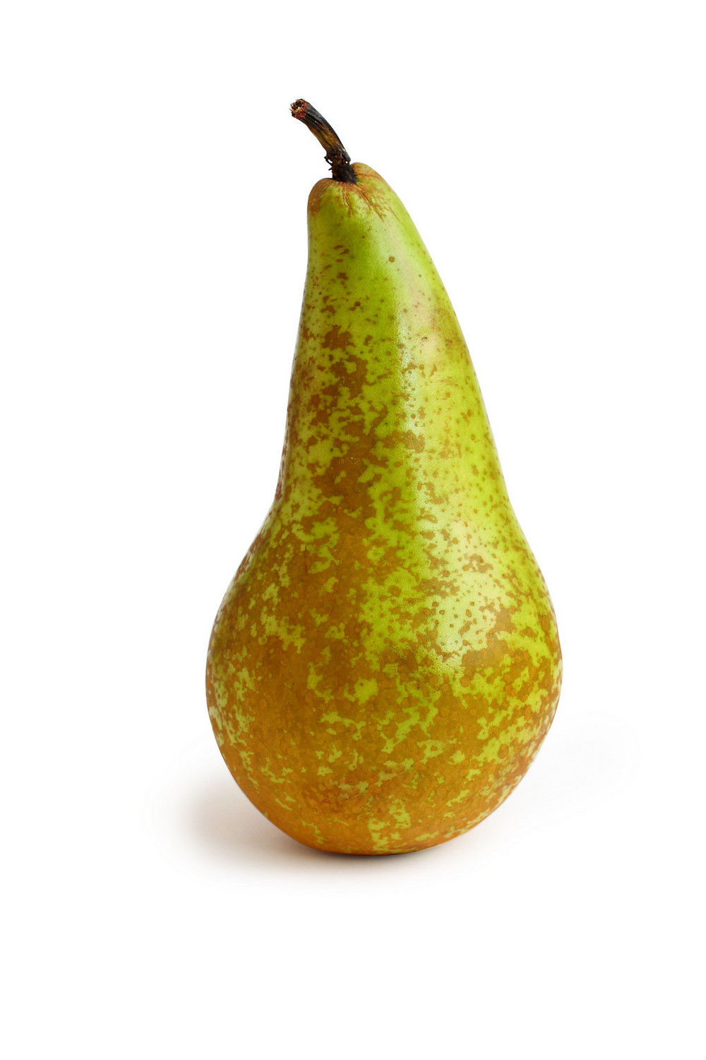 Conference Pear (4 single) | Order Online | Fisher of Newbury