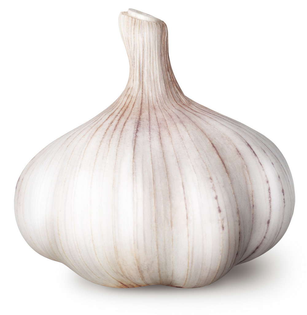 Garlic Bulb | Order Online | Fisher of Newbury