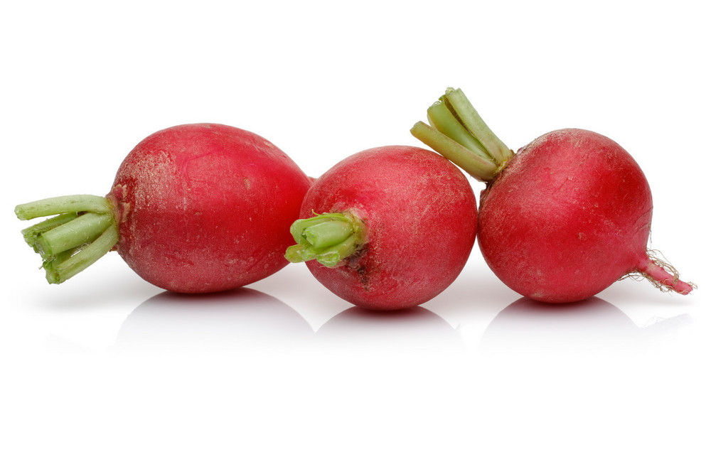 Radish 150g | Order Online | Fisher of Newbury