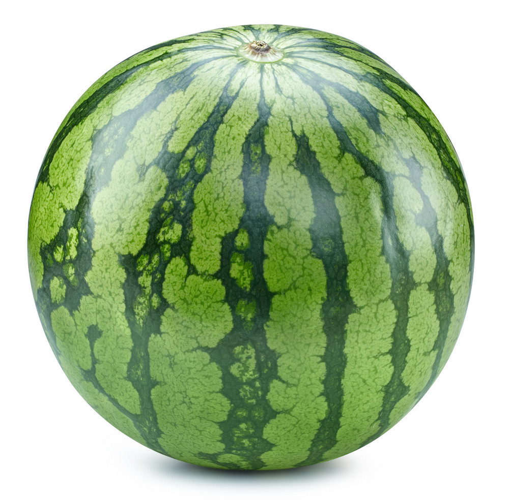Watermelon | Order Online | Fisher of Newbury