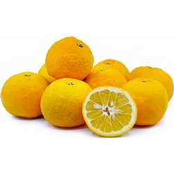 Fruits | Order Online | Fisher of Newbury