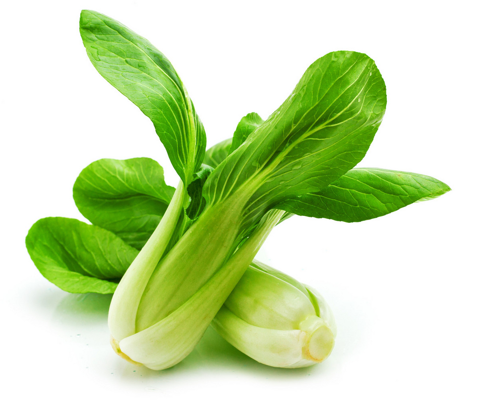 Pak Choi 300g | Order Online | Fisher of Newbury